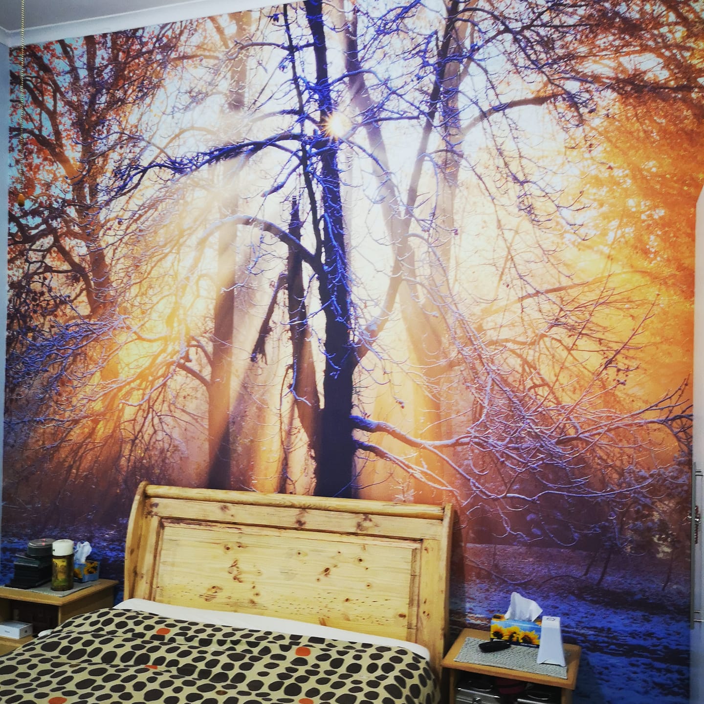 WallPrint Wallpaper & Wall décor